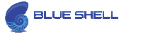 Blue Shell Technologies | Best Cyber Security & CEH Training